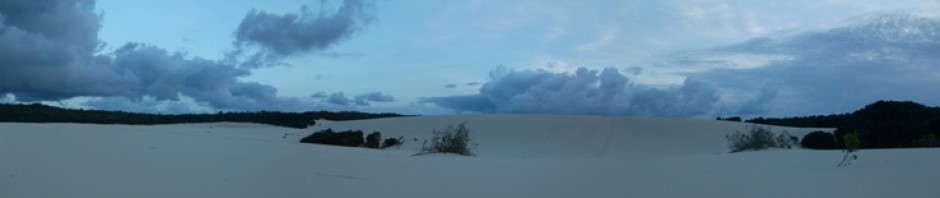 31 August 2014, Canberra: March Australia Canberra Community Rally ...